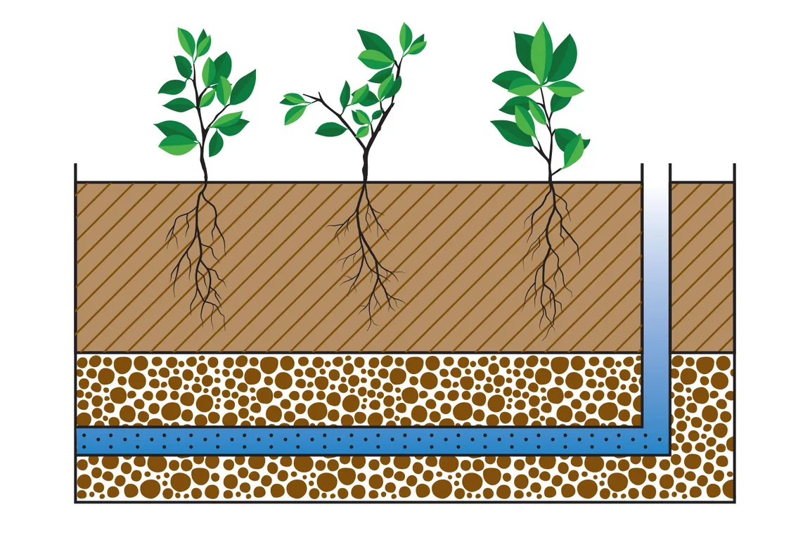 Wicking Beds: How To Make A Wicking Garden Bed