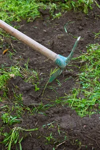 How To Make A Pebble Path: Landscape Designer Charlie Albone Shows You ...