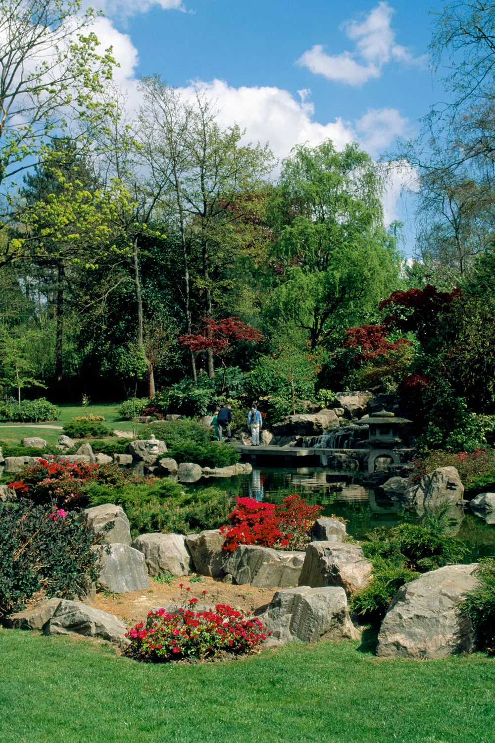 How to create a rock garden | Better Homes & Gardens Australia
