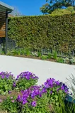How To Paint A Concrete Driveway: 3 Easy Steps