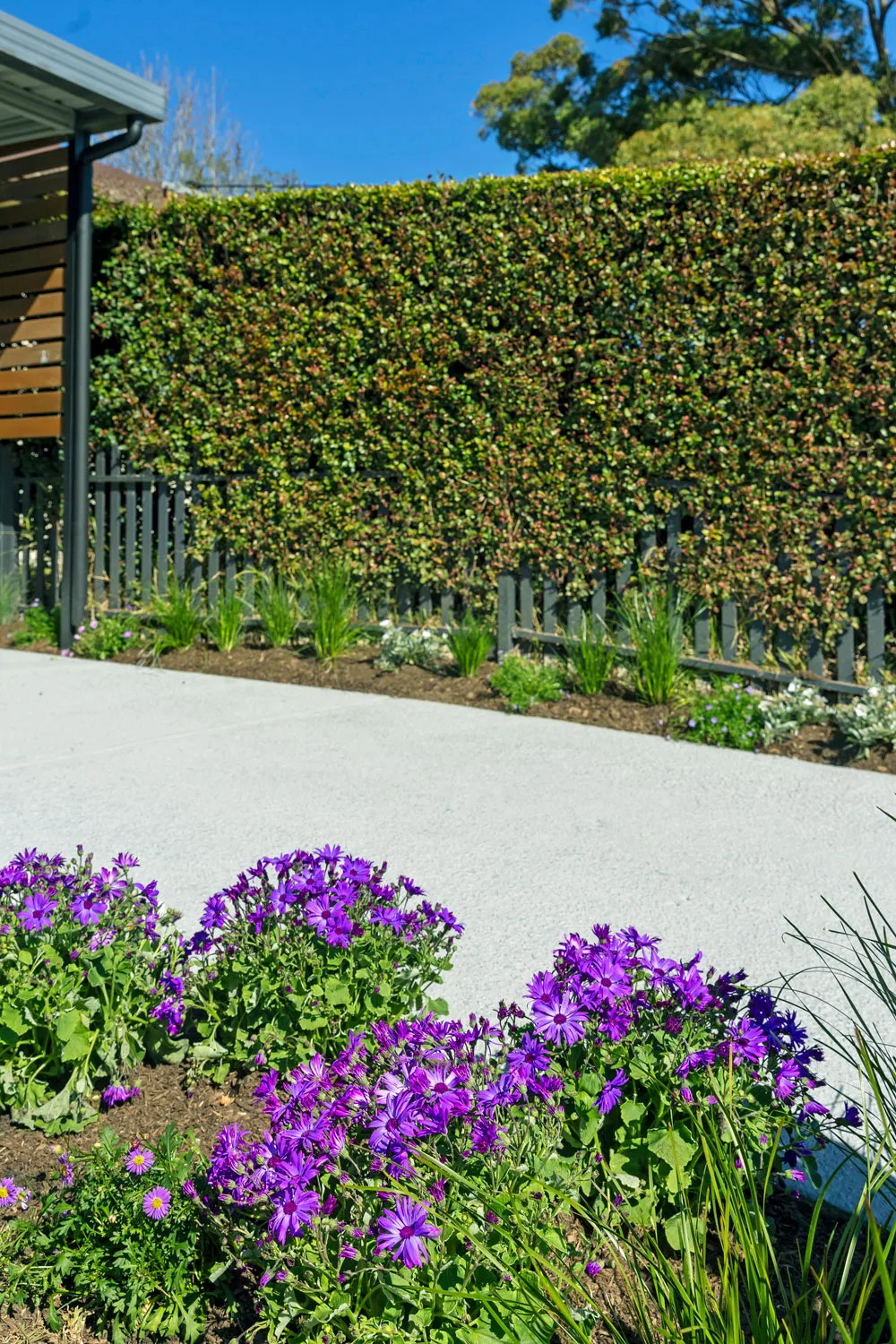 How To Paint A Concrete Driveway: 3 Easy Steps