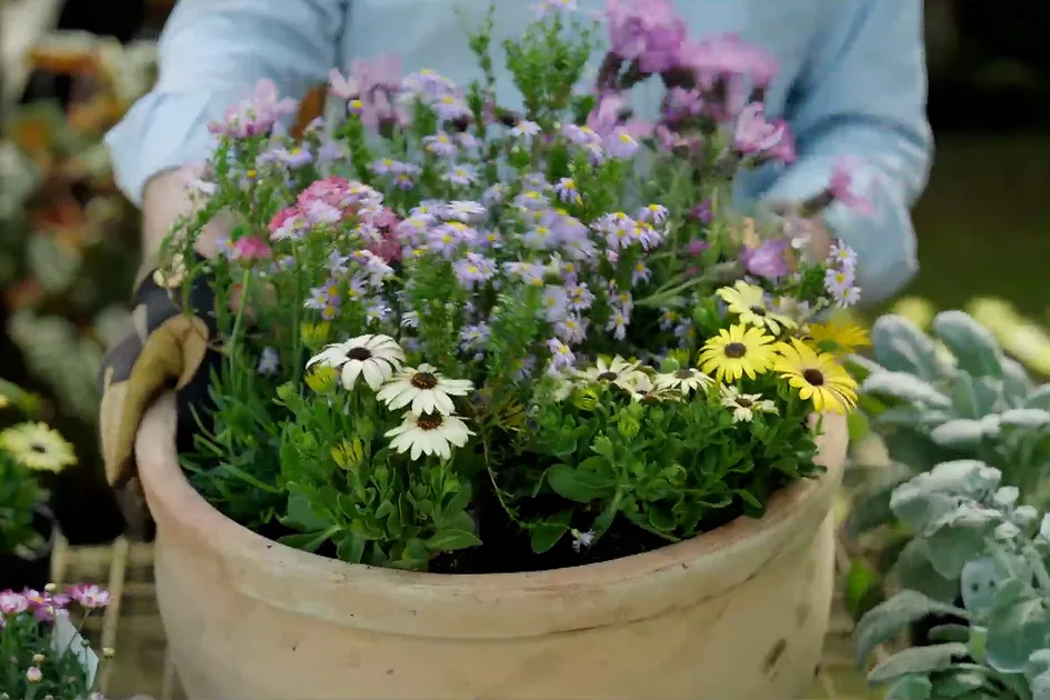 Graham Visits Camden Park House | Better Homes & Gardens Australia