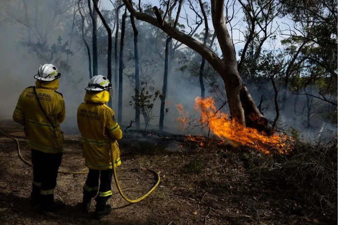 How to Prepare for a Bushfire: Essential Guide