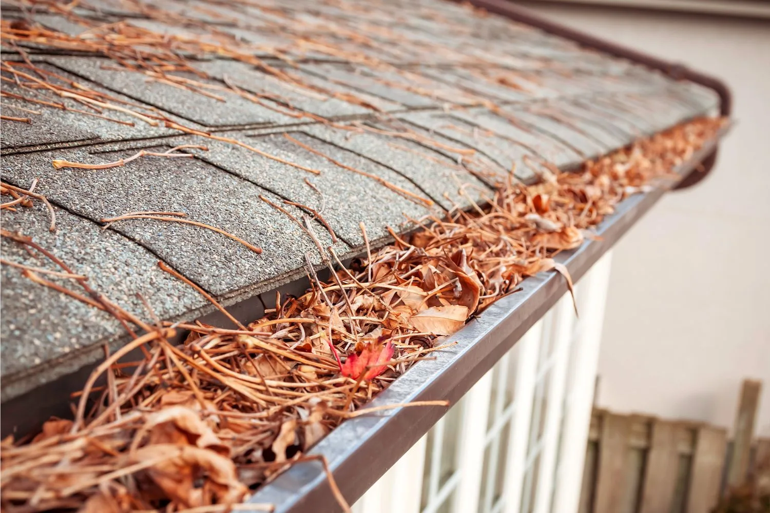 How to Prepare for a Bushfire: Essential Guide