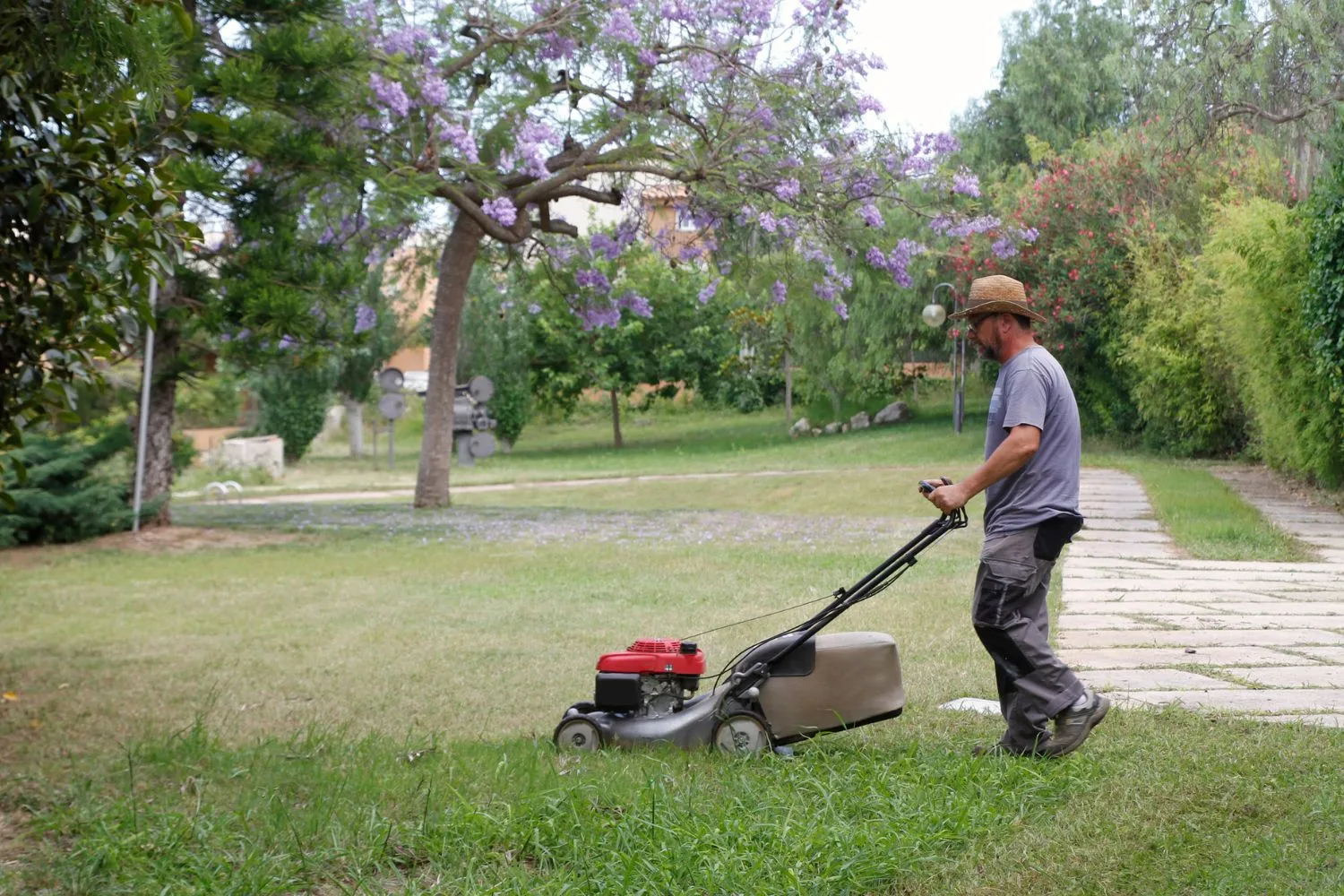 How to Prepare for a Bushfire: Essential Guide