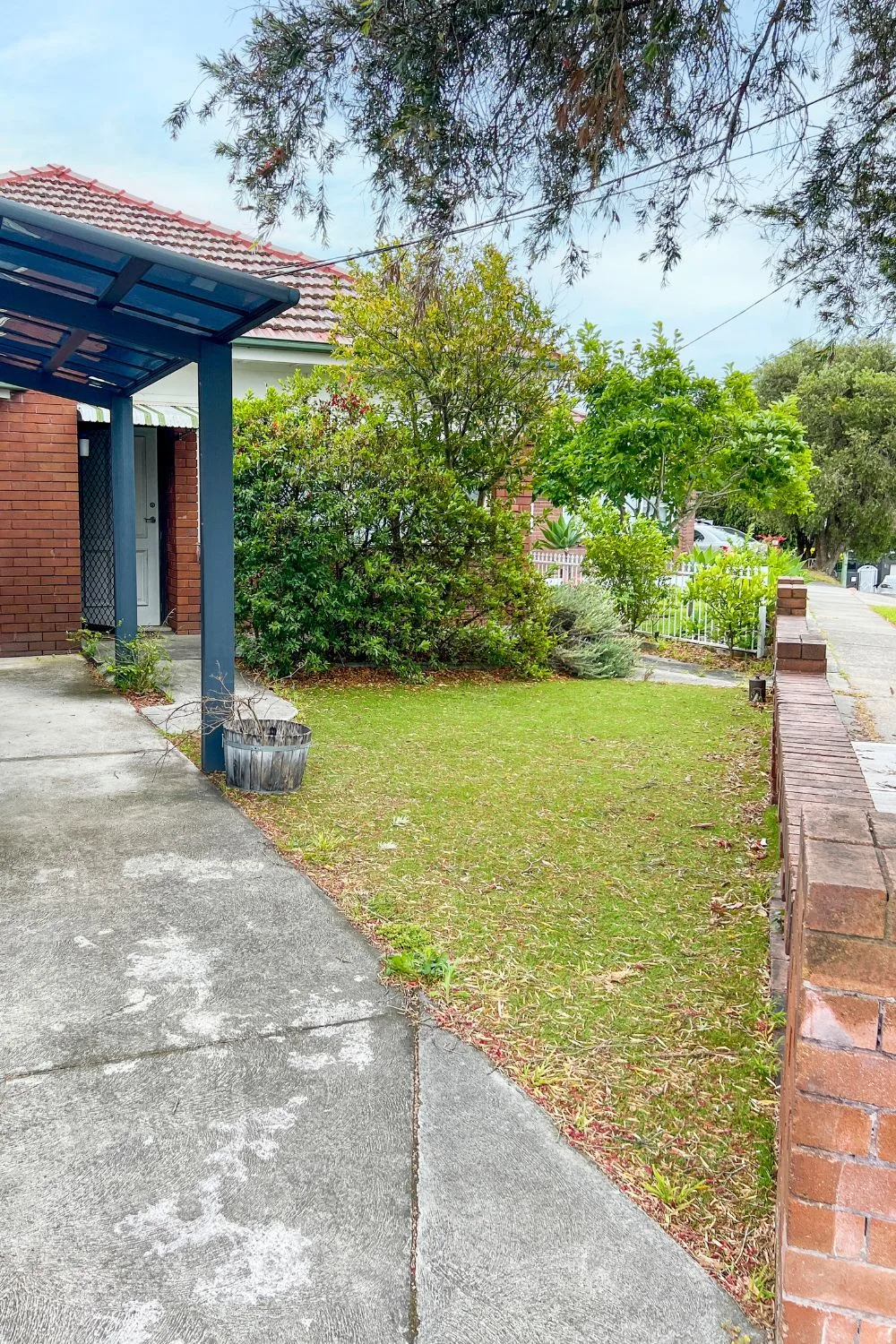 How To Plant A Dichondra Lawn | Better Homes & Gardens Australia