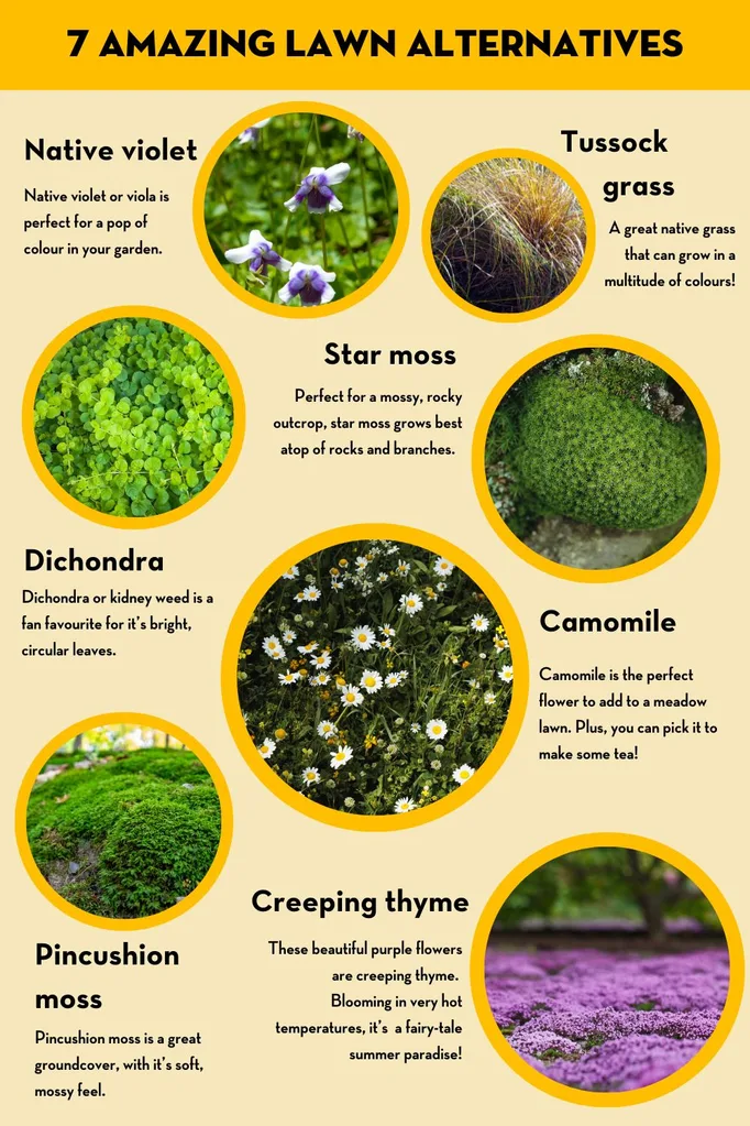 The Complete Guide To Lawn Alternatives | Better Homes & Gardens Australia