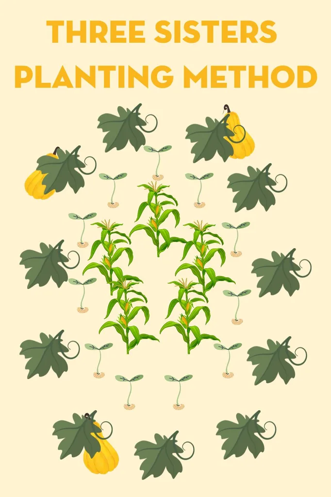 Three Sisters Planting Method | Better Homes & Gardens Australia