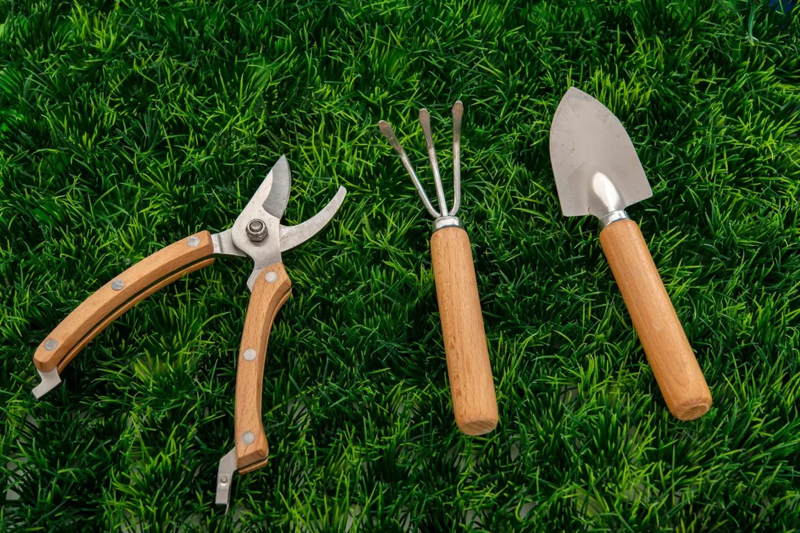 Prevent Rusty Garden Tools | Better Homes & Gardens Australia