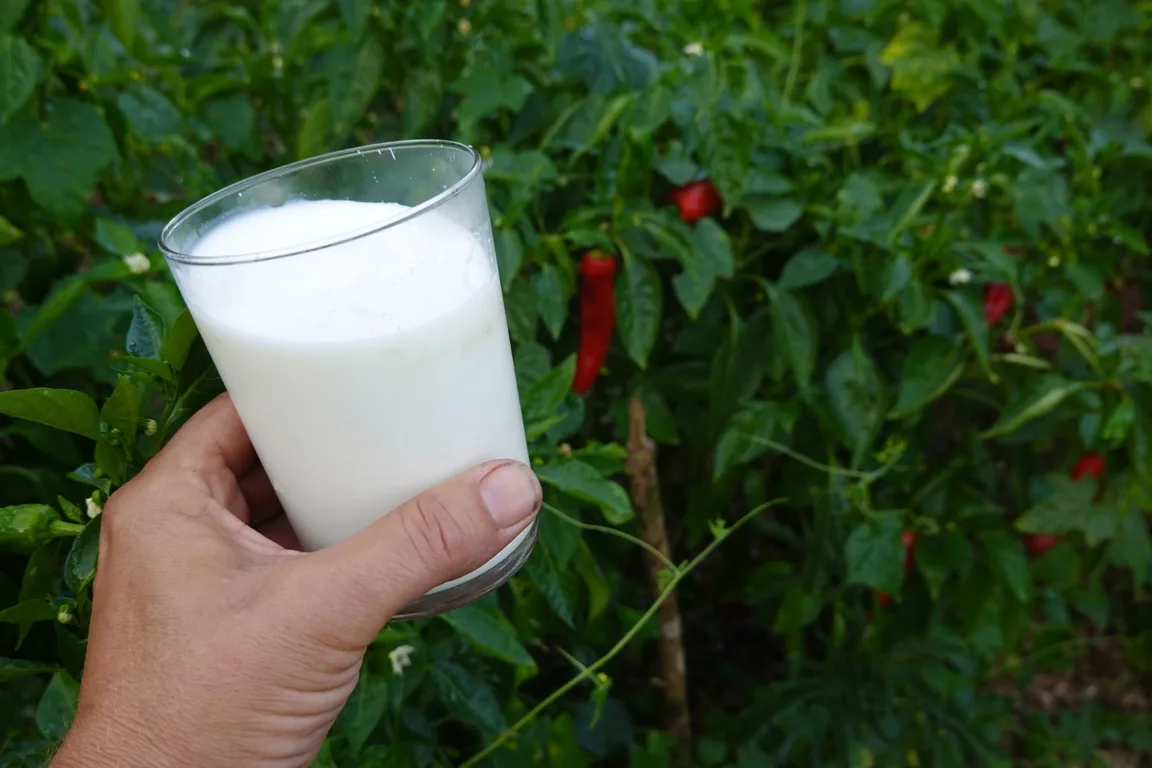 How Watering Plants With Milk Helps Them Grow | Better Homes & Gardens ...