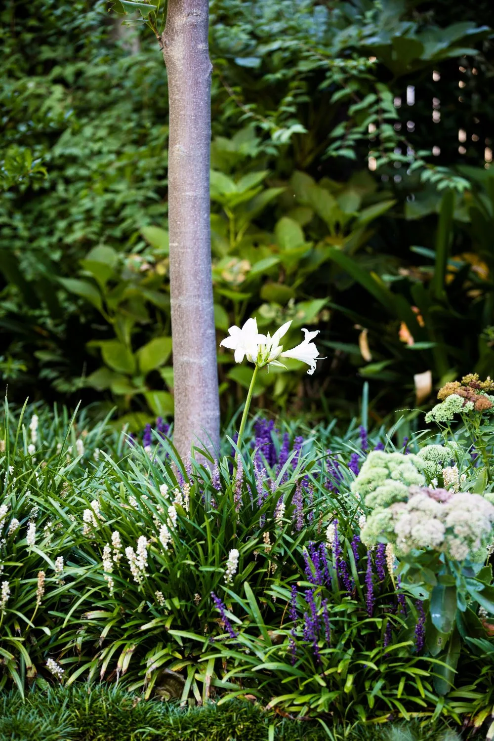 What Is A Rain Garden And How To Build Your Own