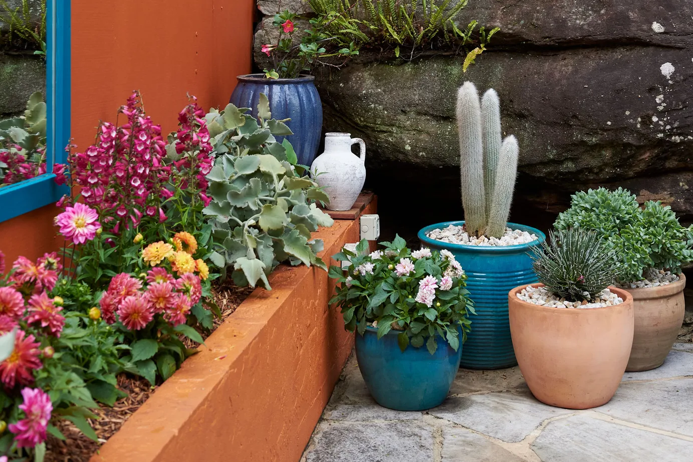 Plants For Full Sun: Charlie Albone Shares His Top Picks | Better Homes ...