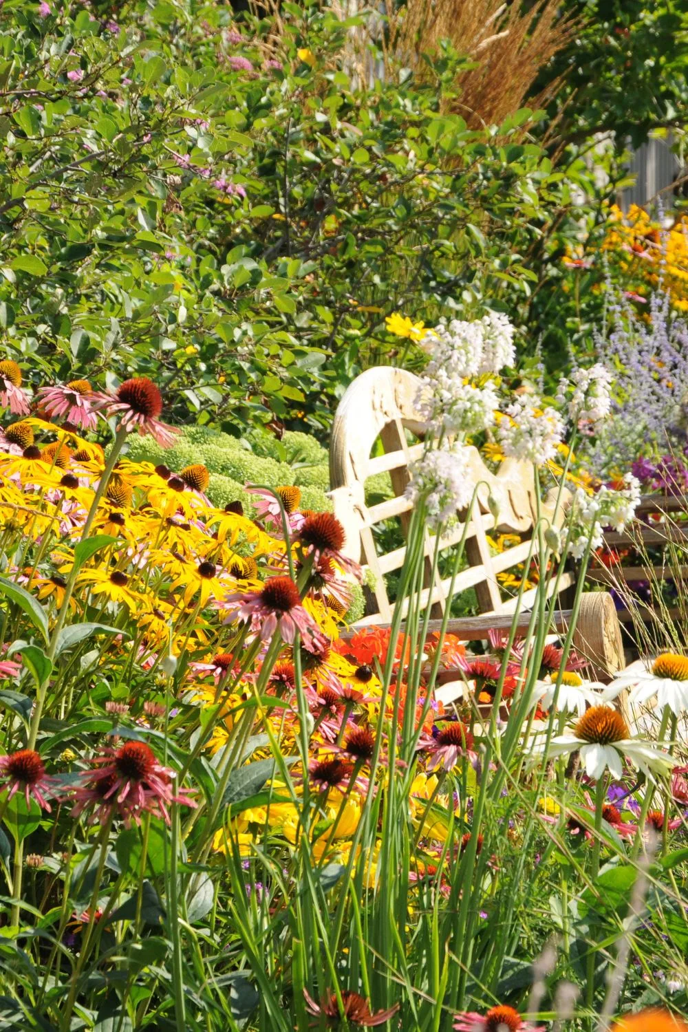 How To Create A Wildflower Garden Meadow