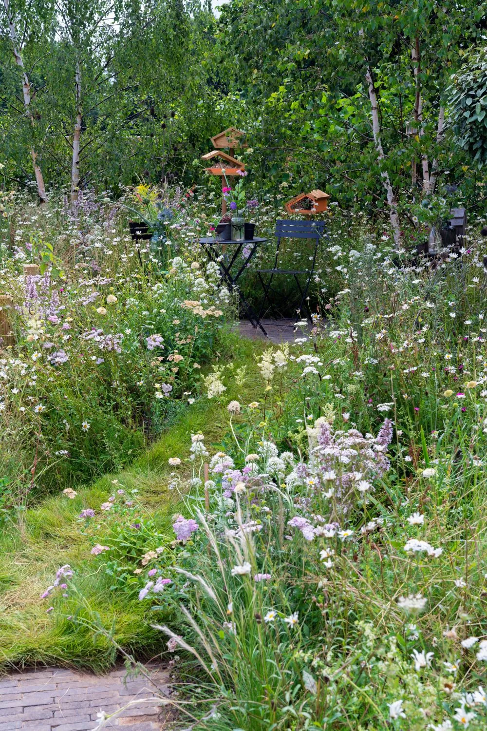 How To Create A Wildflower Garden Meadow