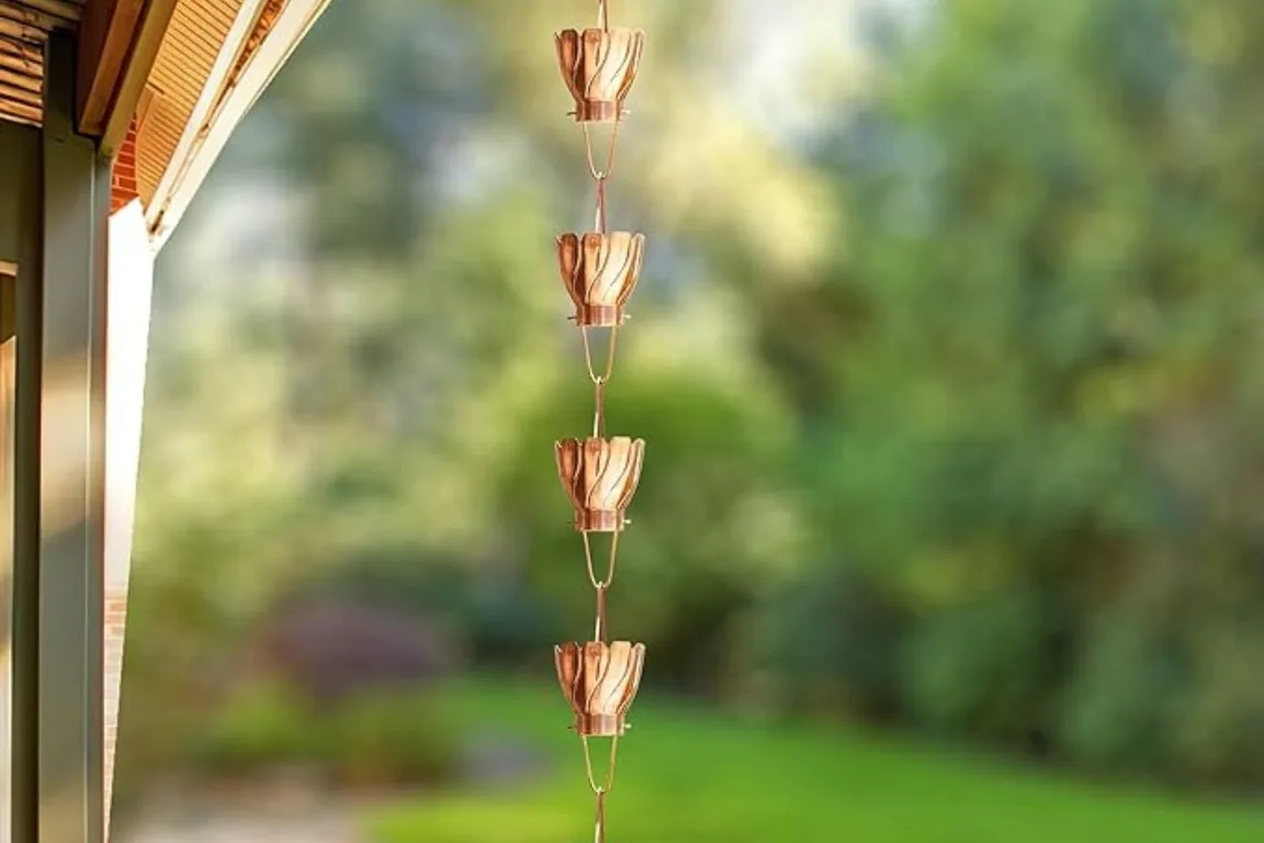 What is a rain chain and is it good for your garden?