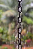 What is a rain chain and is it good for your garden?