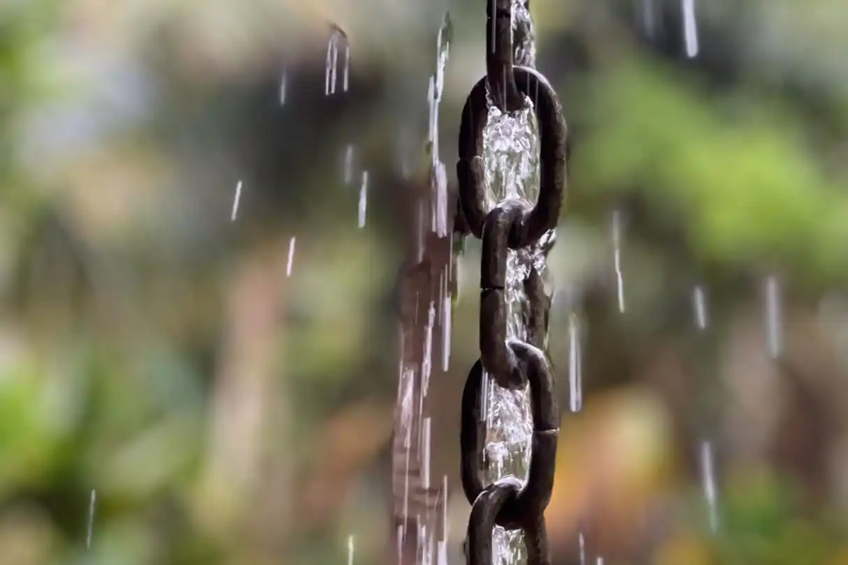 What is a rain chain and is it good for your garden?