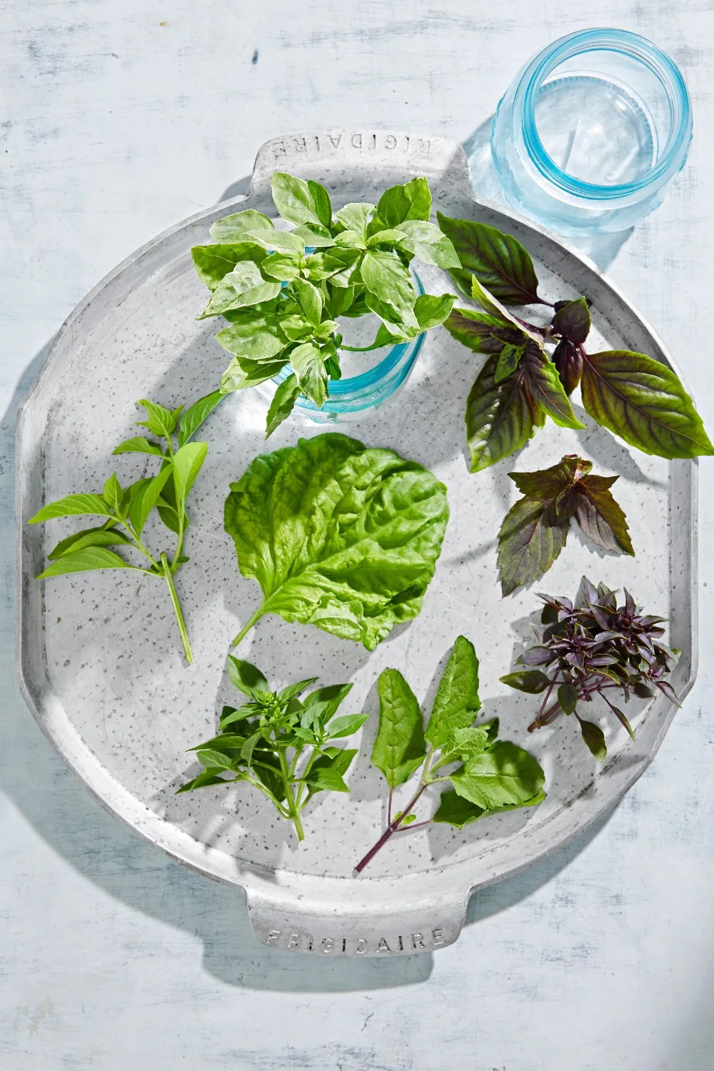 Growing Basil: Best Tips for Your Garden