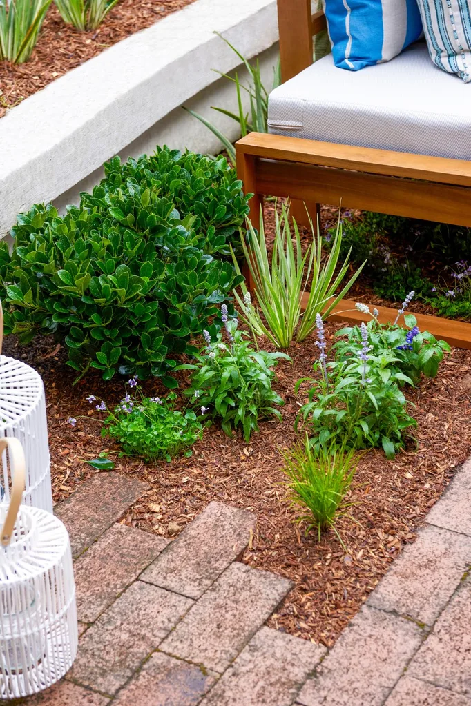 How to create a garden bed between pavers