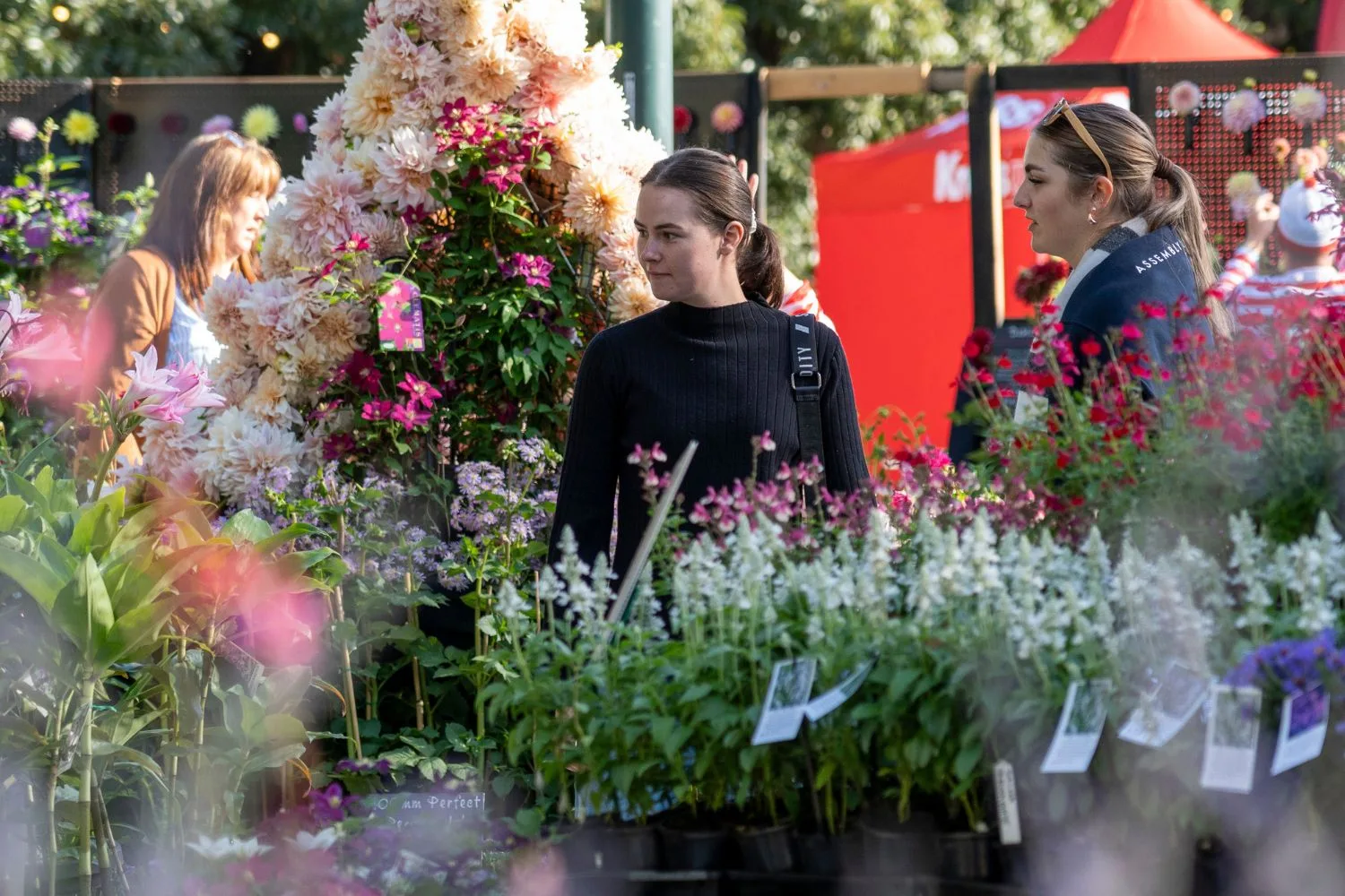 Melbourne International Flower and Garden Show is back for 2025
