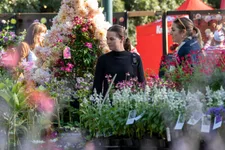 Melbourne International Flower and Garden Show is back for 2025