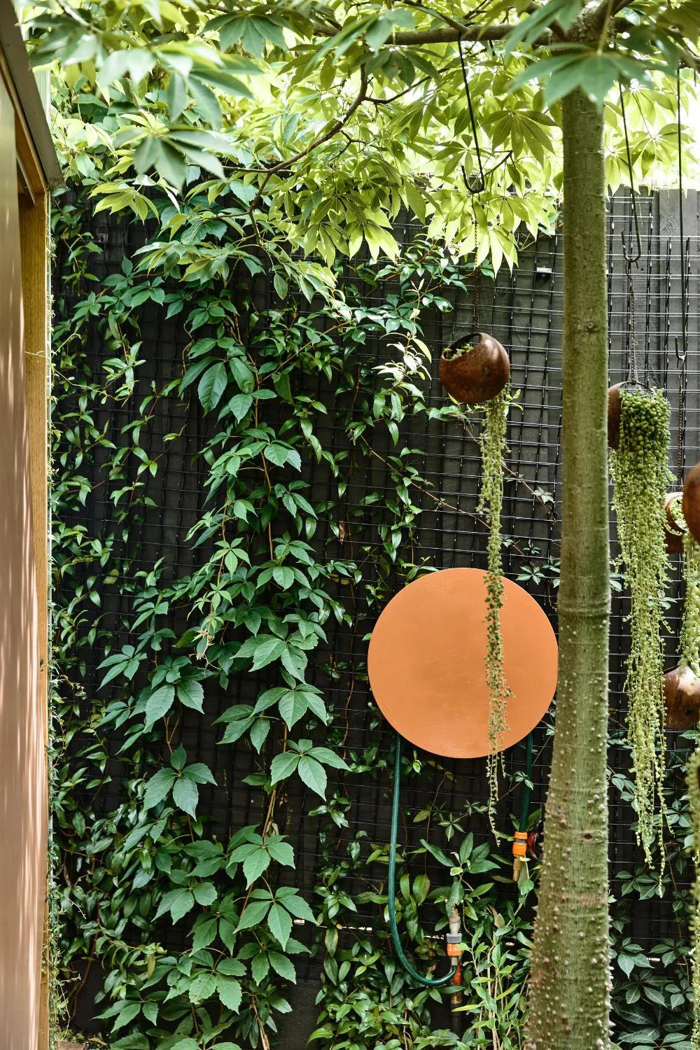 How To Hide An Ugly Outside Wall | Better Homes & Gardens Australia