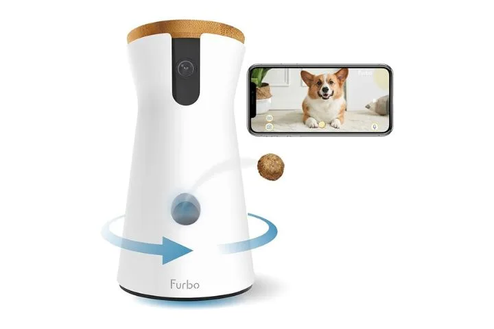 7 Best Pet Cameras Australia 2024 | Better Homes & Gardens Australia