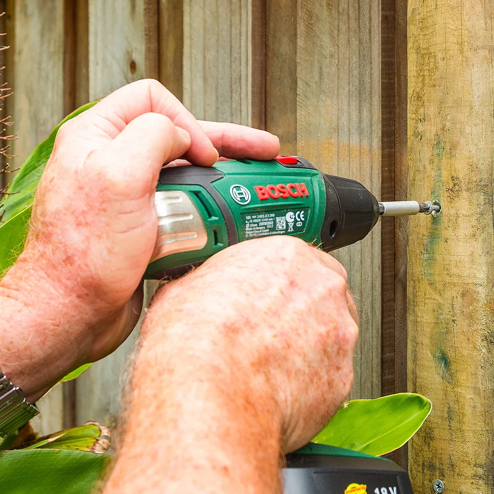 How to espalier like a pro | Better Homes & Gardens Australia