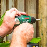 How to espalier like a pro | Better Homes & Gardens Australia