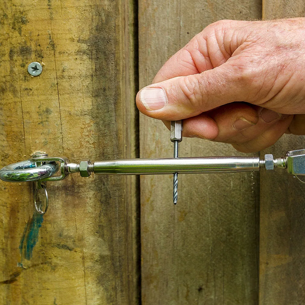 How to espalier like a pro | Better Homes & Gardens Australia