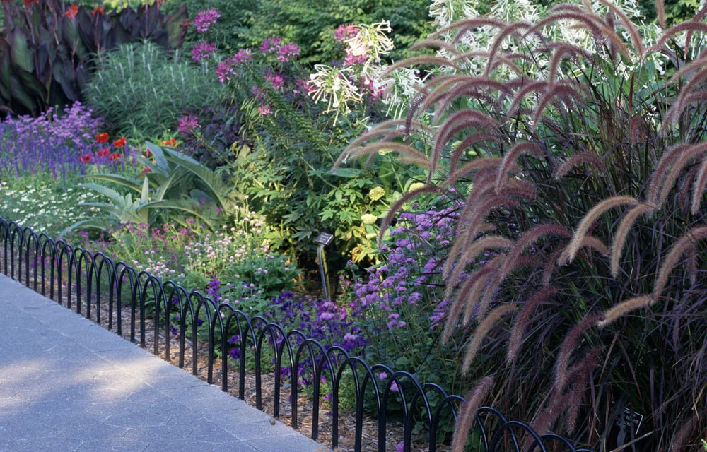 Garden Edging Ideas For A Sophisticated Garden
