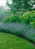 Garden Edging Ideas For A Sophisticated Garden