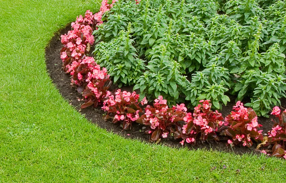 Garden Edging Ideas For A Sophisticated Garden