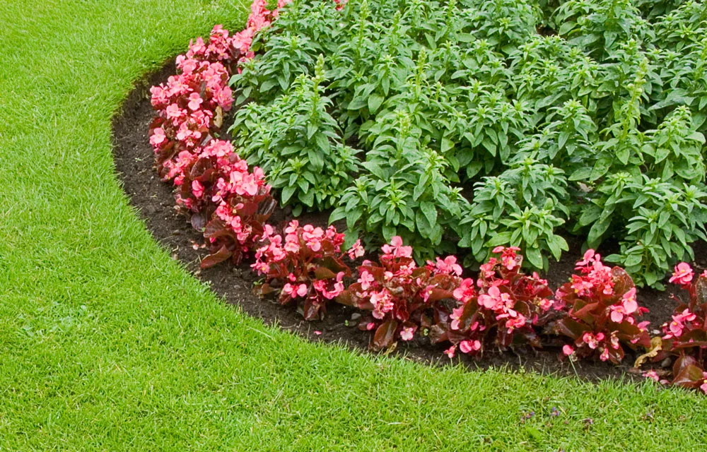 Garden Edging Ideas For A Sophisticated Garden