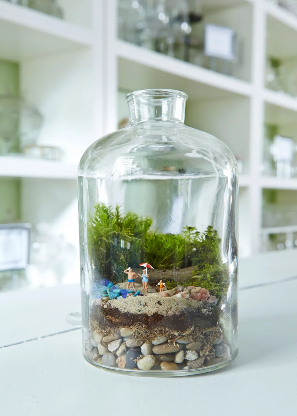8 terrarium ideas you'll love | Better Homes & Gardens Australia