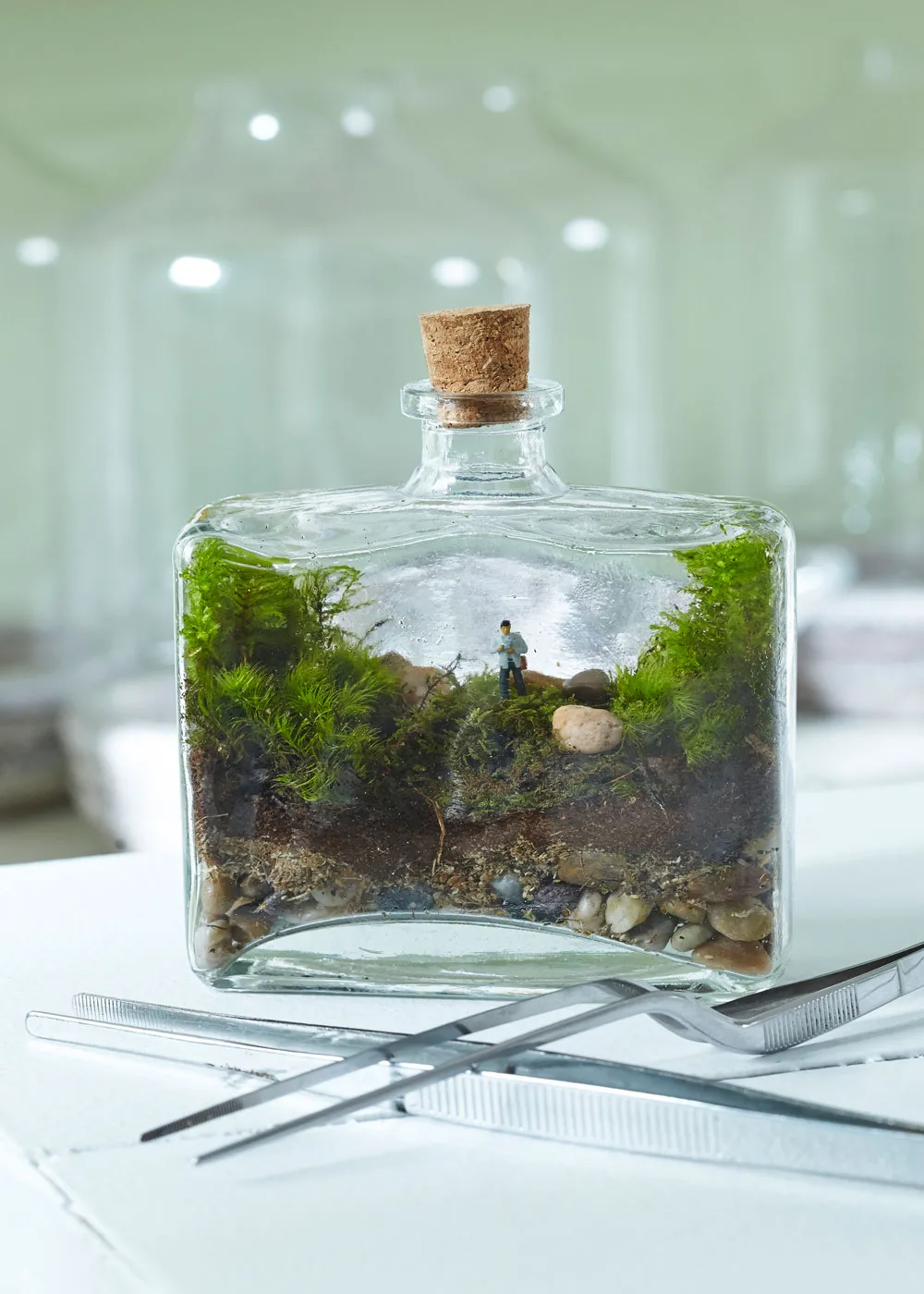 8 terrarium ideas you'll love | Better Homes & Gardens Australia