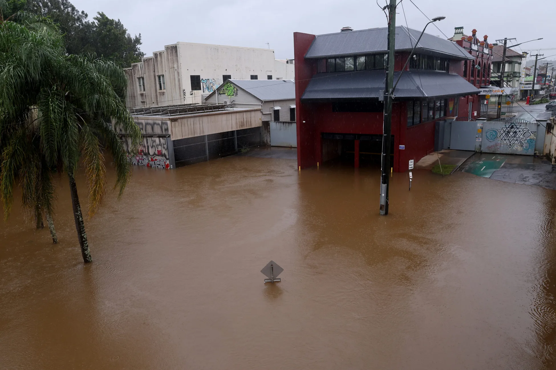 Australian Red Cross launches Cyclone Alfred Appeal | that's life!