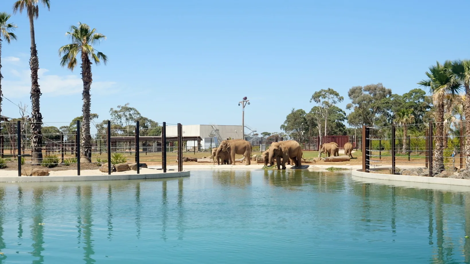 Werribee Open Range Zoo welcomes nine new elephants