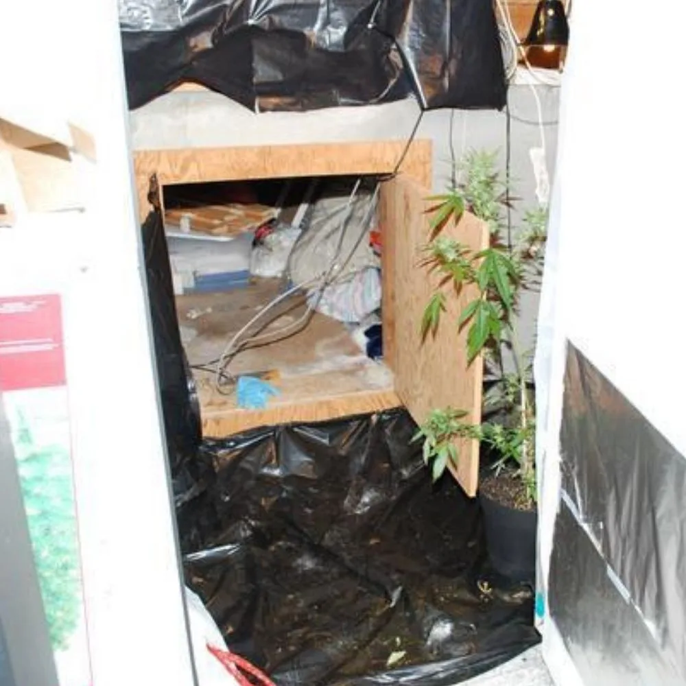 'Mum, I'm a monster': The tragic murder of Jessica Ridgeway | that's life!