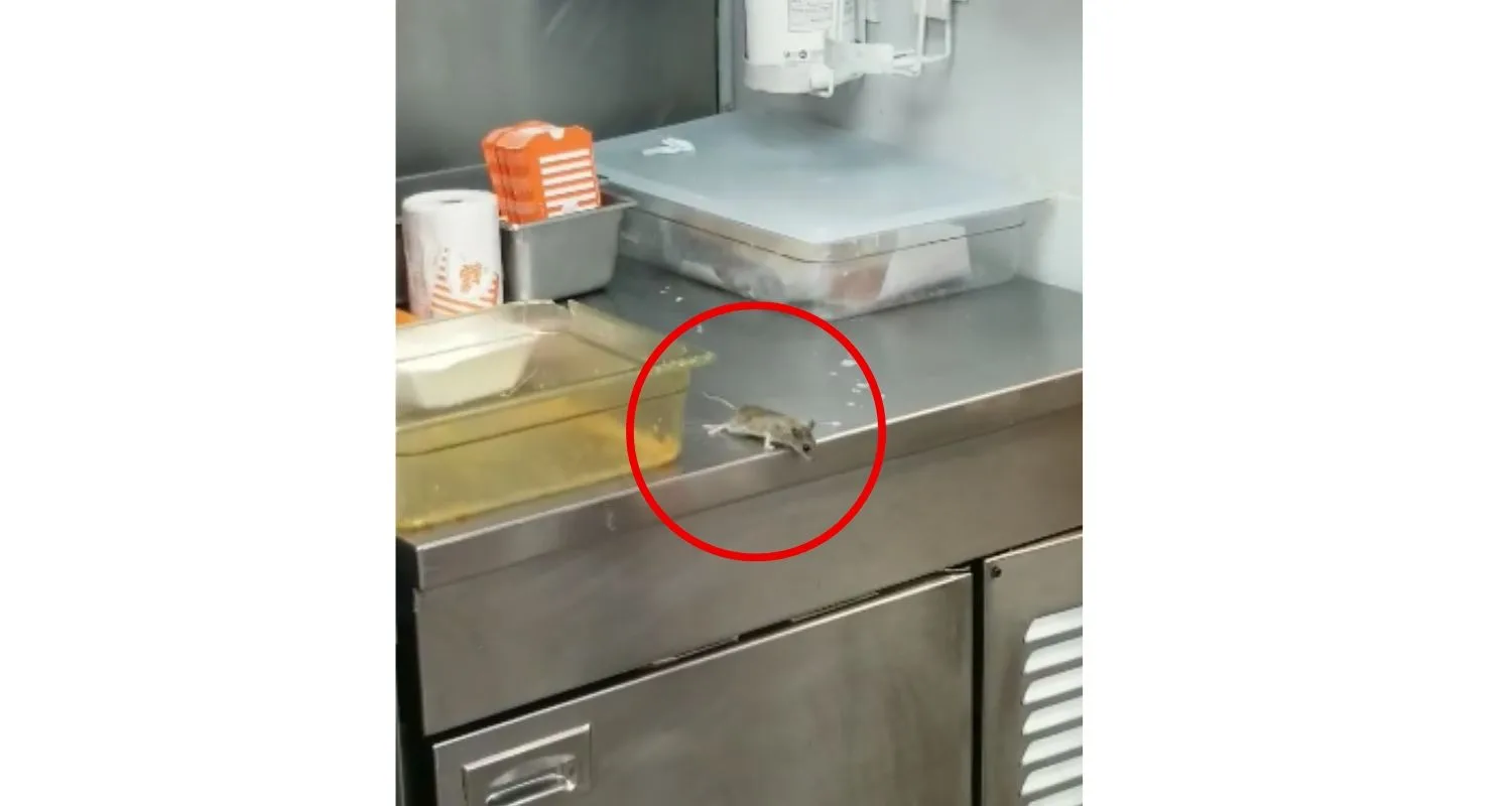 A restaurant has been shut down after a video of a mouse running ...
