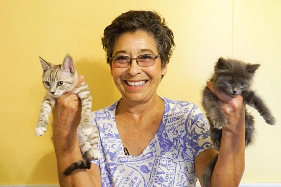 Lynea Lattanzio is the founder of the Cat House On The Kings ...