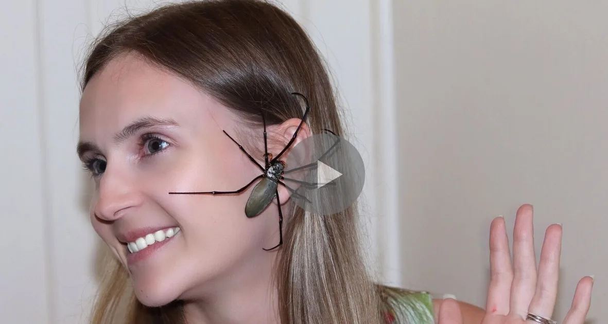 Only in Australia! Woman relaxes by letting spiders crawl on her FACE ...