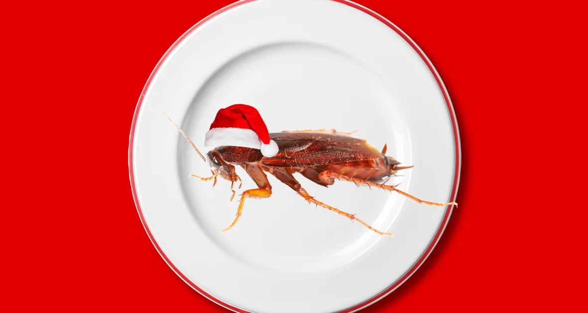 Wife's secret: I fed my husband a cockroach for Christmas lunch | that ...