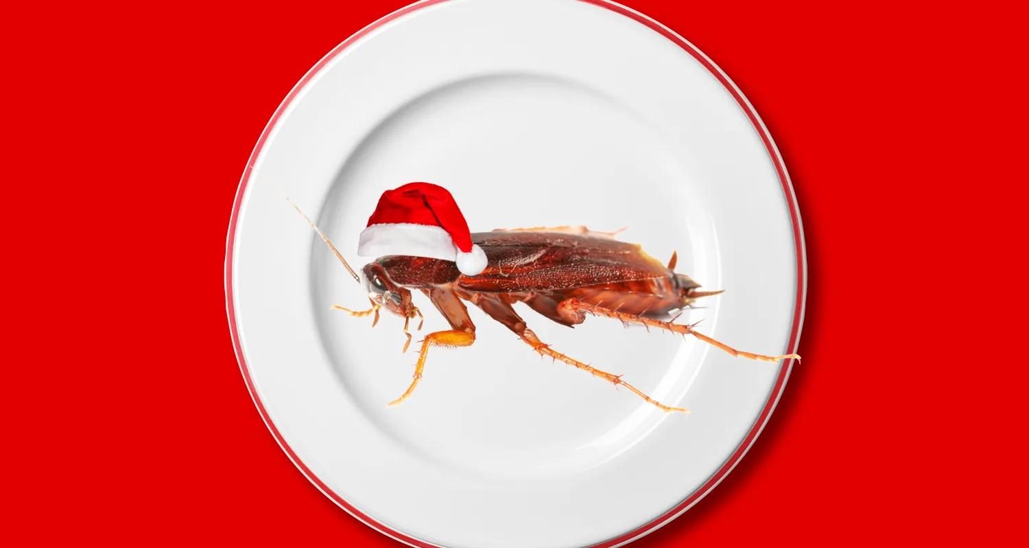 Wife's secret: I fed my husband a cockroach for Christmas lunch | that ...