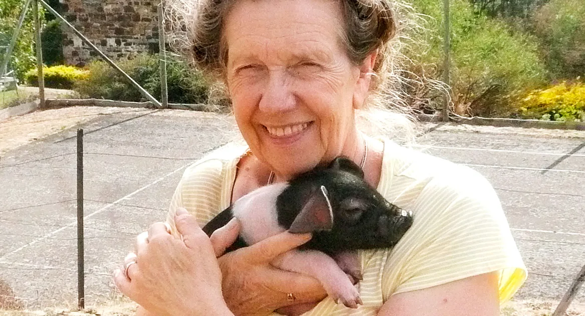 Meet Professor Pig! | that's life!