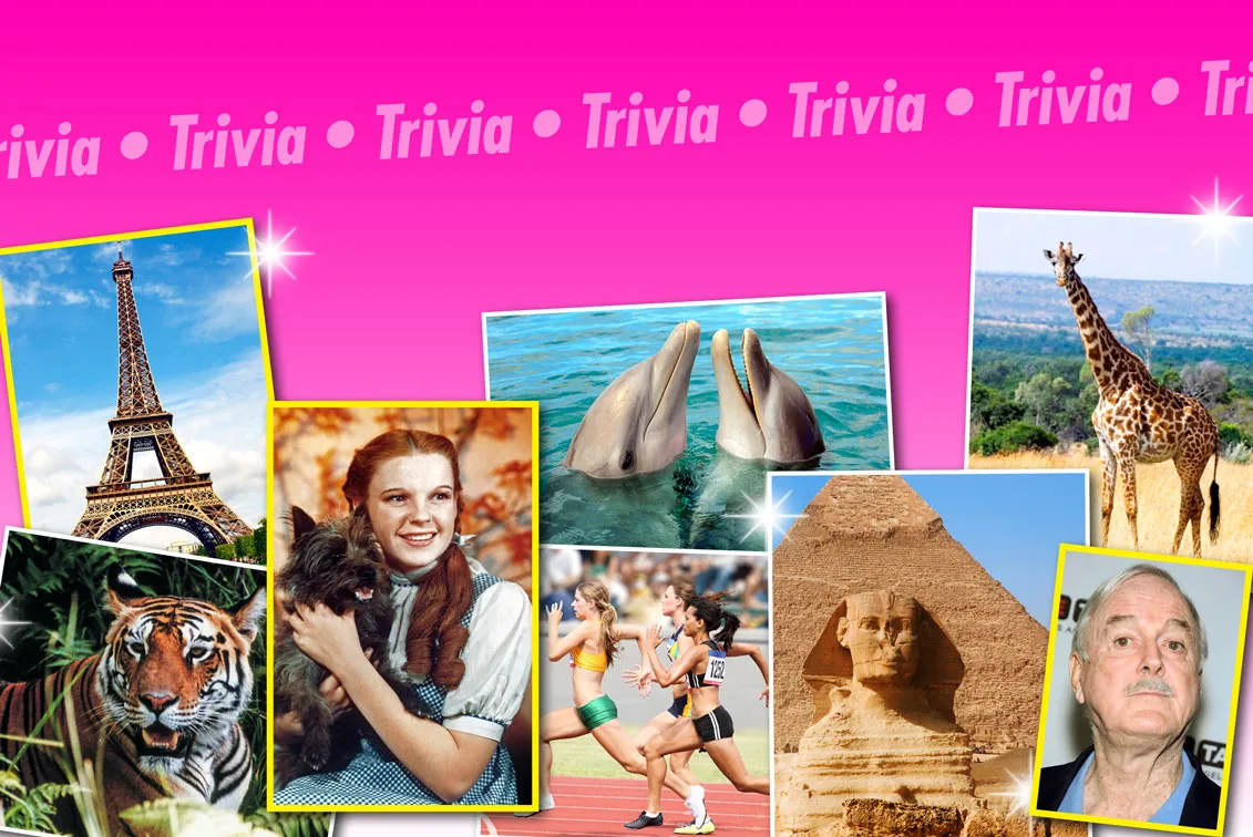 Puzzles | that's life!