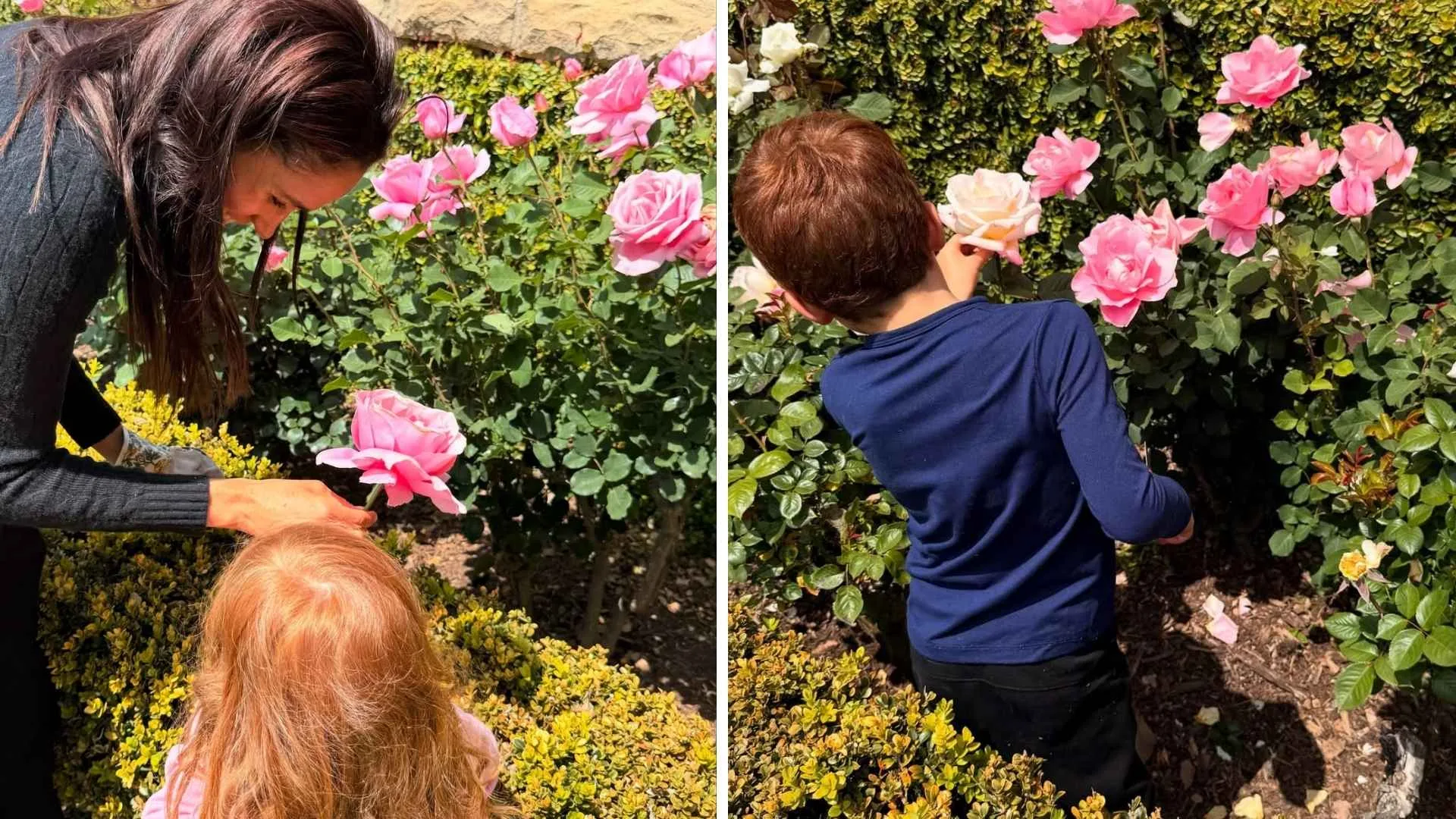 Meghan Markle and Prince Harry's family: Meet Archie and Lilibet | WHO