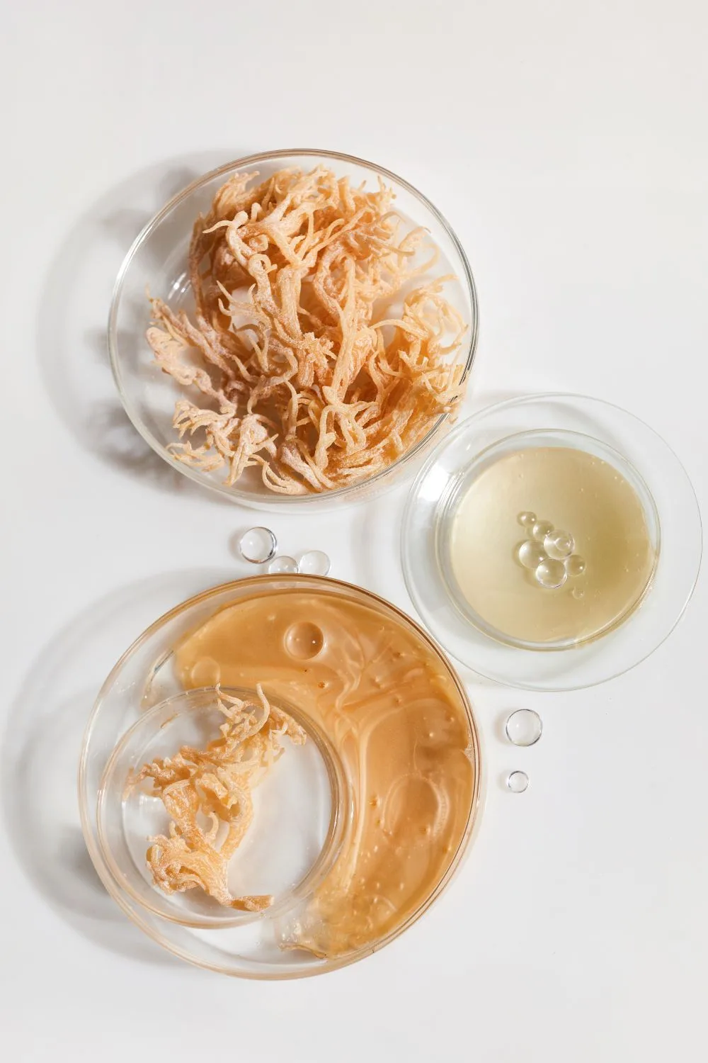 The Top Benefits Of Sea Moss Gels In Australia 2024 | WHO