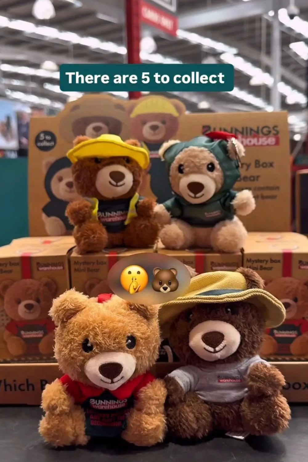 Bunnings Mystery Box Mini Bear: Why people are going wild