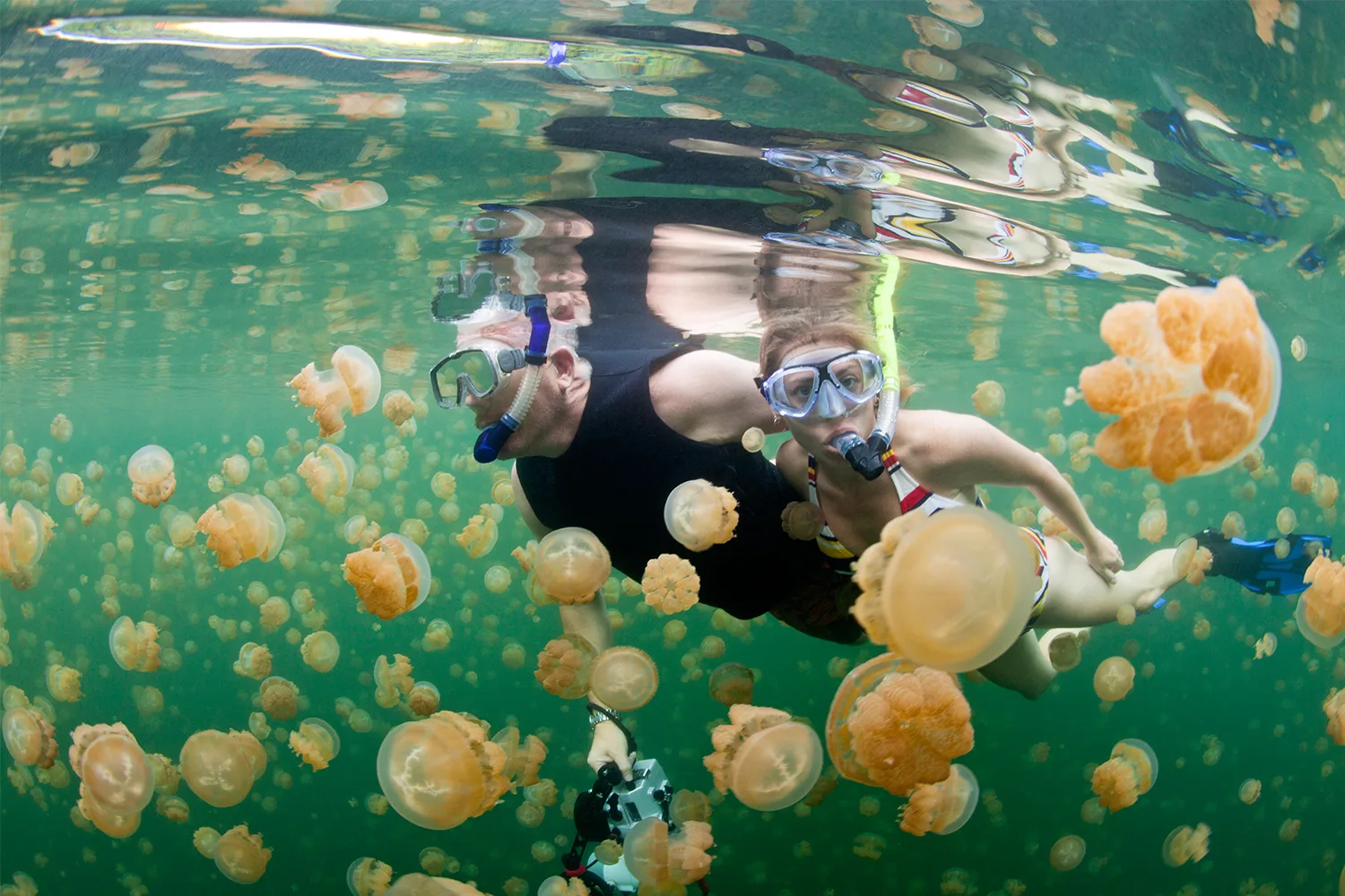 Fattest Country in The World: What is the Most Obese Country? | WHO